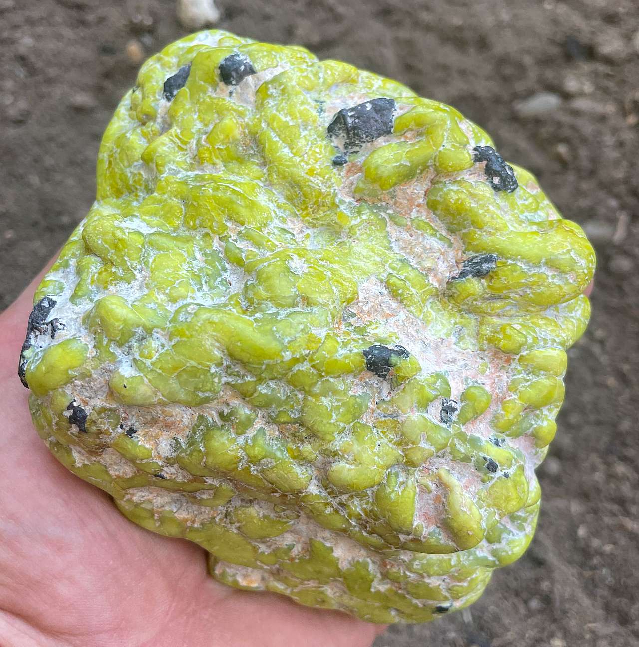 Lizardit Mineralien Stufe